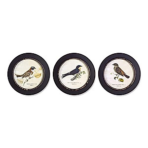 Melrose Modern Home Decorative Framed Bird Print (Set of 3) 9.5" D MDF