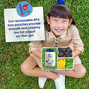 GoGo squeeZ yogurtZ Variety Pack, Blueberry and Berry, 3 oz (Pack of 60), Kids Snacks Made from Real Yogurt and Fruit, No Fridge Needed, Gluten Free, Nut Free, Recloseable Cap, BPA Free Pouches