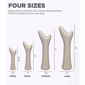Petstages Deerhorn Antler Alternative Dog Chew Toy, Medium
