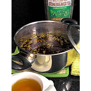 HerbaZest Chanca Piedra Tea (Stonebreaker/Stone Breaker) - 8oz (225g) - Premium Wild-Crafted & 100% Pure Loose Leaves & Stems