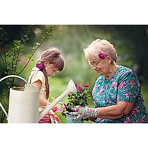 Watering Can for Indoor Plants, Flower Watering Can Outdoor for House Plants Garden Flower, Small Watering Can Indoor Long Spout with Sprinkler Head (1/2 Gallon, Ivory)