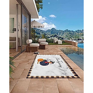 Thanksgiving Turkey and Pumpkin Outdoor Patio Rug for Deck,Picnic,Porch,Balcony 6x9ft Water Absorb Non Skid Area Rugs,Washable Camping RV Carpet Mats White Grey Marble Texture