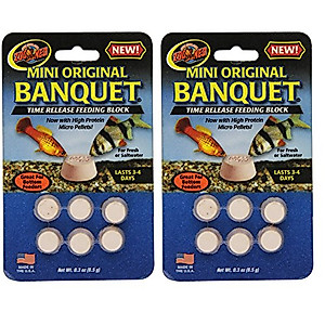 Zoo Med Laboratories AZMBB2 Mini Banquet Block Feeders, 12 Count