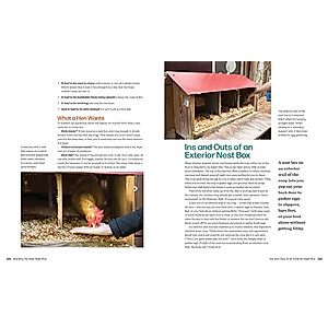 Hentopia: Create a Hassle-Free Habitat for Happy Chickens; 21 Innovative Projects