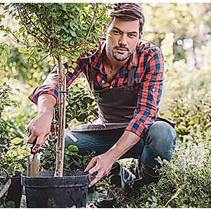 TABOR TOOLS D124A 3-Piece Garden Tool Set with Rubberized Non-Slip Handles, Stainless Steel, Includes Hand Trowel, Cultivator Hand Rake, and Transplanter with Gradation Marks