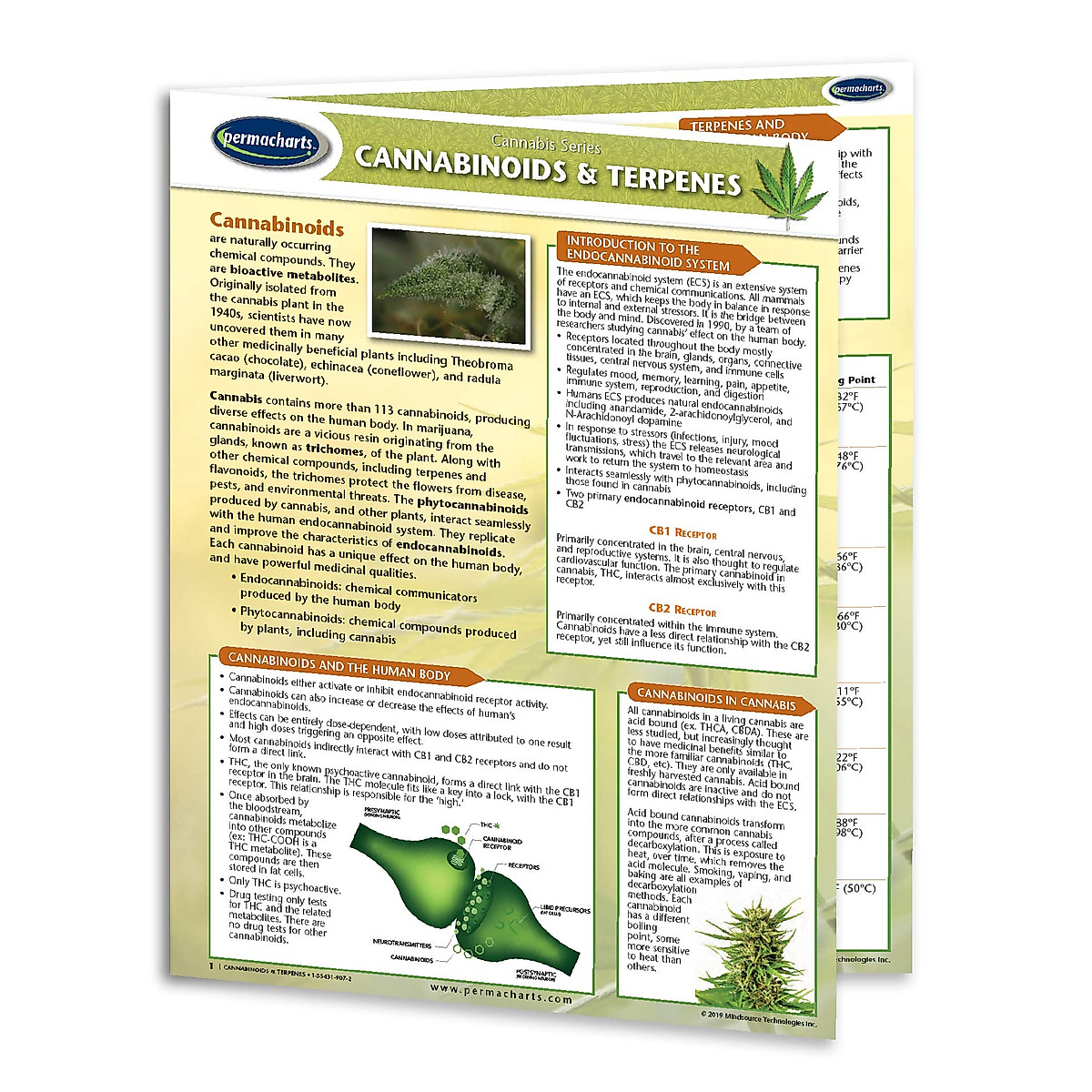 CBD Educational Charts - 8 Chart Bundle - Quick Reference Guides - Cannabinoid Educational Series by Permacharts