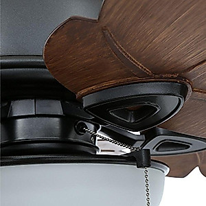 Home Decorators Collection 51422 Palm Cove 52 in. Natural Iron Ceiling Fan