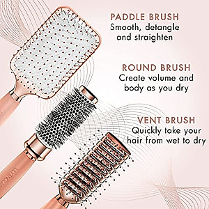 Hair Brush Set - Luxury Hairbrushes for Detangling, Blow Drying, Straightening - Suitable for All Hair Types by Lily England (Rose Gold)