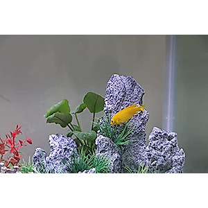 AQUA KT Aquarium Mountain Cichlid Stone Rock Betta Fish Hide Natural View for Marine or Freshwater Aquarium Landscape Large Fish Tank Decoration, Pack of 1