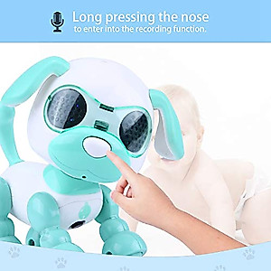 NITRIP Robot Pet, Educational Gift Walking Sound Puppy Interactive Smart Dog, Home for Kids School Girls(Green)