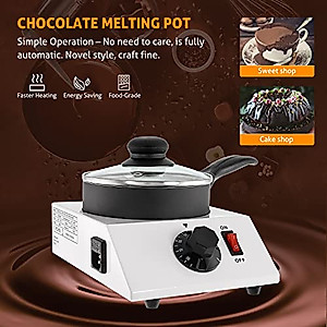 WICHEMI Chocolate Melting Pot Chocolate Tempering Machine Commercial Electric Chocolate Melter Fondue Pot for Chocolate, Butter, Cheese, Cream, Candy, Milk, Coffee, Desserts (Single Pot)