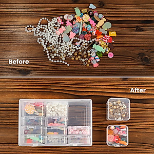 ISKYBOB Bead Organizers Box, 12PCS Clear Plastic Storage Containers Mini Transparent Cases with Hinged Lid Rectangle Craft Storage Boxes for Jewelry Small Parts Diamond Art Accessories