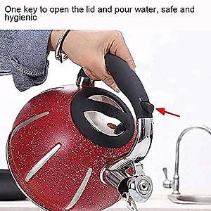 Tea Kettle Whistling Tea Pots Red Stainless Steel Whistling Tea Kettle Camping Kettles with Heat-Resistant Handle for Tea Coffee Milk Chihen220114(Color:Red;Size:3L)