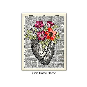Heart, Skull, Brain, Lungs, Kidney, Liver Wall Art Decor - Human Anatomy Room Decorations - Medical Office Decor - Shabby Chic Gift for for Doctor, Nurse, Women, RN - Poster Picture Prints Set