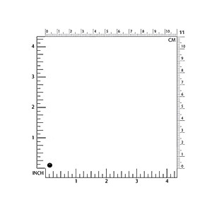 Silvershake 4mm Petite Genuine Round Shape Black Onyx 925 Sterling Silver Stud Earrings