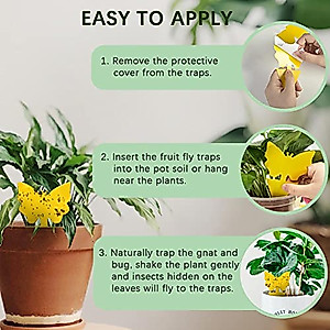 Fruit Fly Traps Fungus Gnat Traps Yellow Sticky Indoor Outdoor Use Protect The Plant