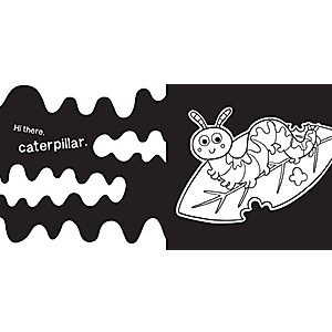 Hello, Garden Bugs: A High-Contrast Board Book that Helps Visual Development in Newborns and Babies (High-Contrast Books)