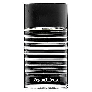 Ermenegildo Zegna Intenso Eau De Toilette Spray for Men, 3.4 Ounce Black