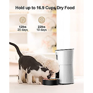 Petory Automatic Cat Feeders Wi-Fi - 4L Dry Food Dispenser for Cats and Dogs 10 Meals per Day Smart Pet Feeder with Desiccant Bag Dual Power Supply 10S Voice Recorder