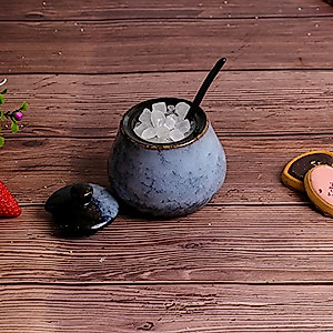 Antique Ceramic Sugar Bowl Salt Bowl with Lid and Spoon 8oz Seasoning (Grey Blue) Seasoning Can