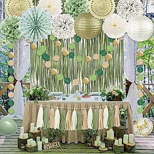 Sage Green Baby Shower Decorations, Welcome Baby Gender Neutral Baby Shower Decor, with Tissue Pom Poms, Balloons, Tassel Garland, Paper Lanterns for Gender Reveal Birthday Party Decorations