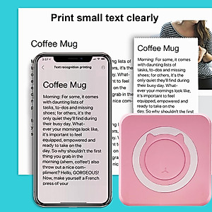 Fernuenx Portable Wireless Printer Mini Pocket Bluetooth Thermal Printers with 5 Rolls Printing Paper Compatible with Android iOS iPhone for Label Receipt Photo Notes and Memos (Pink)