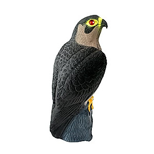 Bird-X Falcon Predator Decoy Bird Scare