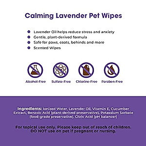Best Pet Supplies 8" x 9" Pet Grooming Wipes for Dogs & Cats, 100 Pack, Plant-Based Deodorizer for Coats & Dry, Itchy, or Sensitive Skin, Clean Ears, Paws, & Butt - Calming Lavender