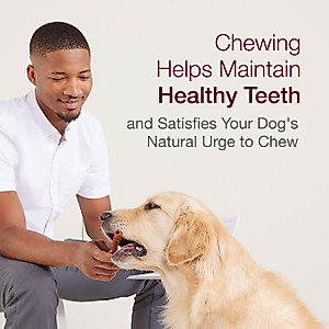 SmartBones SmartSticks, Treat Your Dog to a Rawhide-Free Chew Made With Real Meat and Vegetables, 25 Count (Pack of 1)