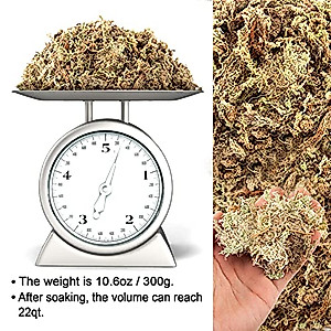 10 Oz Natural Sphagnum Moss for Plants- 22QT Dried Orchid Moss for Repotting Moisture Holding Plant Moss for Potted Plants Indoor Plant Growing Medium for Carnivorous Plants Succulent
