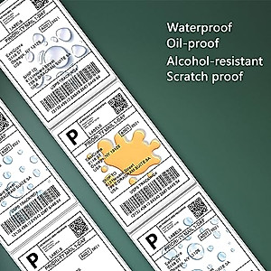 EastCrane 4x6 Thermal Shipping Lables Roll, 500 Labels/Roll,Compatible with Rollo Zebra MUNBYN JADNES Phomemo IDPRT,Commercial Grade,Permanent Adhesive,Perforated