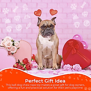 petsYa Ball Dog with Rope and Dog Ring Flying Traning chew Dog Toys Soft Foam Ball for Fetching Soaring Flying Ring