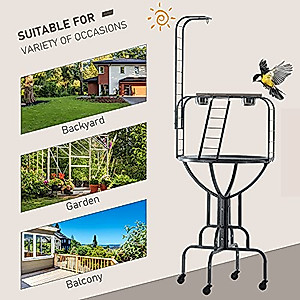 PawHut Rolling Bird Perch Play Stand with Universal Wheels, Wooden Perch Ladders, & Stainless Steel Feeding Cups, Grey