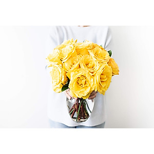 DELIVERY BY FRIDAY, 8/2 GUARANTEED IF ORDER PLACED BY 8/1 BEFORE 2PM EST From You Flowers - One Dozen Yellow Roses with Glass Vase (Fresh Flowers) Birthday, Anniversary, Get Well, Sympathy,