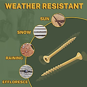 LIONMAX Deck Screws 2 Inch, Wood Screws #8 x 2, 200 PCS, Rust Resistant, Exterior Epoxy Coated, Outdoor Decking Screws, Torx/Star Drive Head Screw, T25 Star Bit Included, Tan