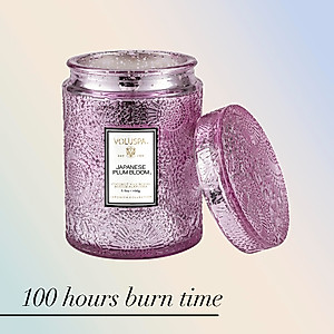 Voluspa Japanese Plum Bloom, Large Candle Jar, 18 oz, 100 Hour Burn Time, All Natural Wicks and Coconut Wax for Clean Burning, Vegan, Poured in the USA