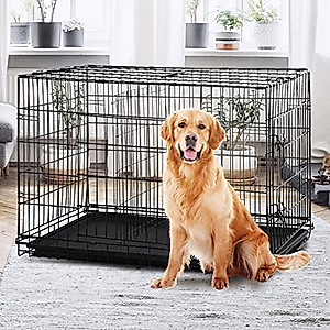 Pet Dog Crate, 48 Inches Large Dog Cage Double Door Folding Crate Metal Wire Dog Kennel with Divider Panel Leak-Proof Plastic Pan, Indoor Outdoor Basic Pet Crates for Medium Large Breed Dog XL XXL