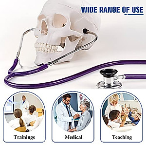 Human Skull Anatomical Model, HINGONS Adult Sized Skull 3-Part Removable Skull Cap and Moving Jaw, for Student Human Anatomy Learning