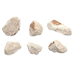6PK Raw Gypsum, Mineral Specimens - Approx. 1" - Geologist Selected & Hand Processed - Great for Science Classrooms - Class Pack - Eisco Labs