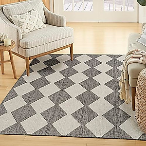 Nourison Positano Indoor/Outdoor Charcoal 4' x 6' Area Rug, Easy Cleaning, Non Shedding, Bed Room, Living Room, Dining Room, Backyard, Deck, Patio (4x6)