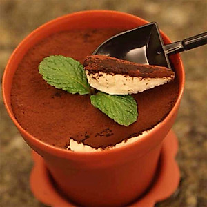 Qixivcom 50 Pack180ml Cute Creative Potted Dessert Cup 6oz Plastic Cake Cup with Lid and Spoon Snack Tasting Cup Suitable for Party Cold Drink Cup Jam, Dessert, Ice Cream Flower Pot Cups (Pink)