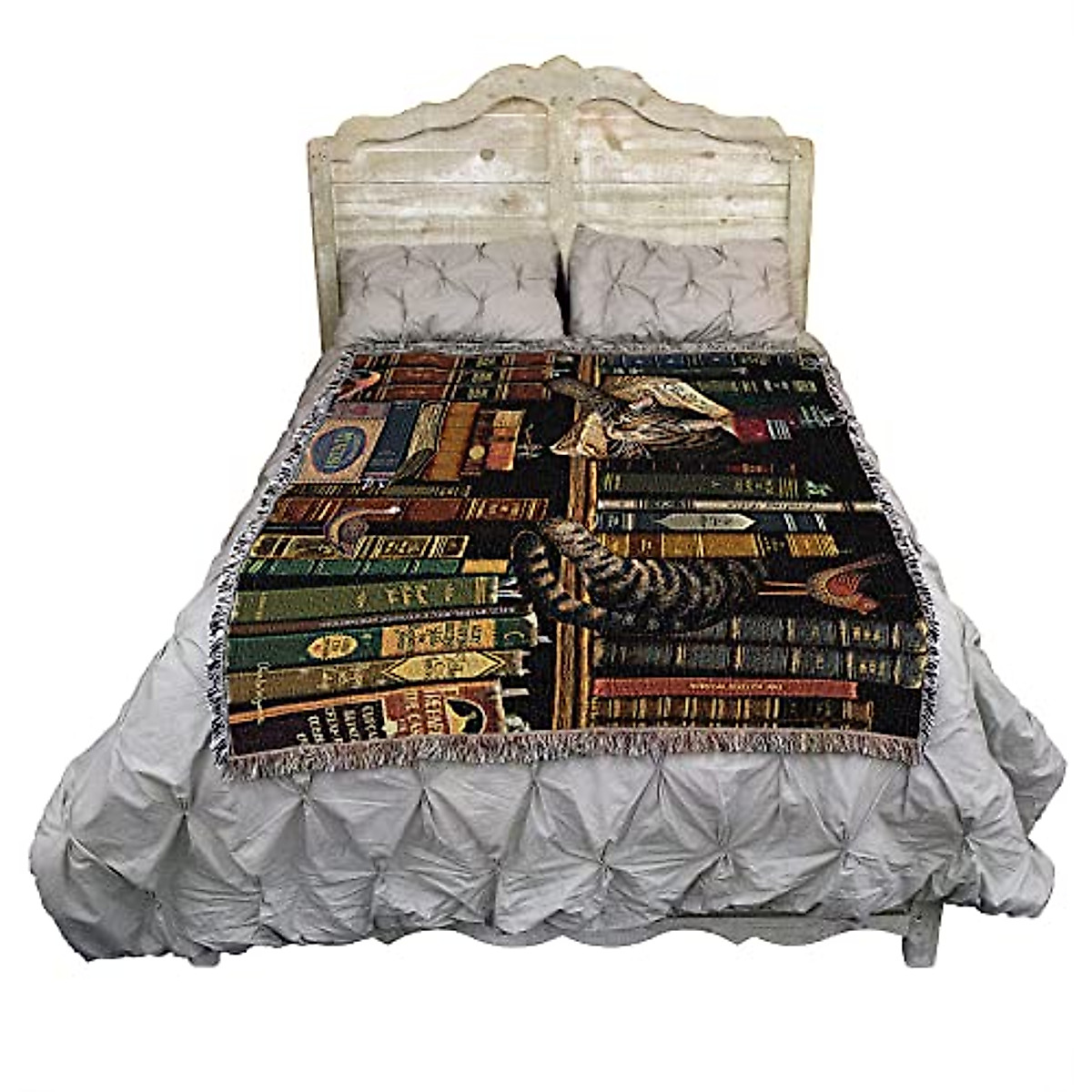 Pure Country Weavers Max in The Stacks Blanket by Charles Wysocki - Gift for Cat Lovers - Tapestry Throw Woven from Cotton - Made in The USA (72x54)