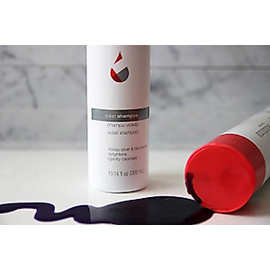 GREAT CLIPS Solutions Violet Shampoo, 10oz | Toning Shampoo Enhances Hair Color | Works on Color-Treated & Natural Hair | For Blonde, Gray, or White Hair