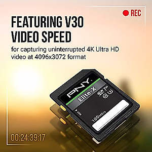 PNY 256GB Elite-X Class 10 U3 V30 SDXC Flash Memory Card - 100MB/s, Class 10, U3, V30, 4K UHD, Full HD, UHS-I, Full Size SD