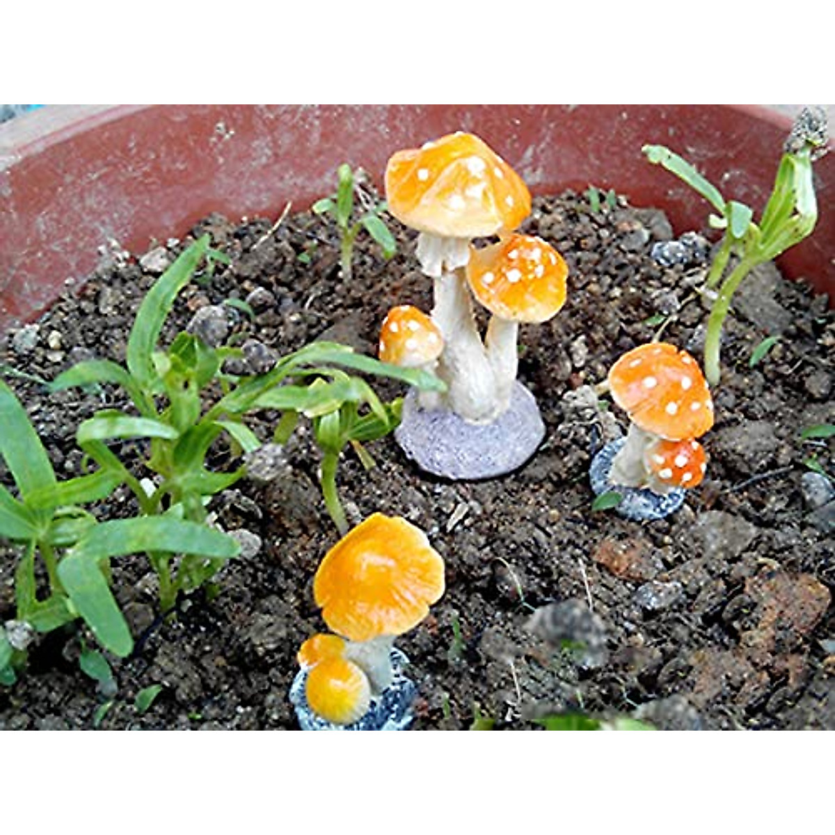 6 Pcs Mini Mushroom Miniature Figurines Resin Figurines Fairy Garden Miniature Moss Landscape DIY Terrarium Crafts Ornament Accessories for Home Décor