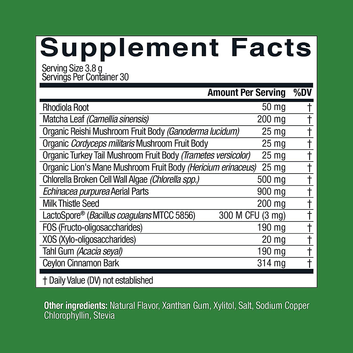 Live Conscious Beyond Greens Concentrated Superfood Powder & Organic Pea Protein Powder - Vanilla Dream Flavor | Immune System Boost & Gut Health + Metabolism & Muscle Support