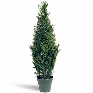 National Tree Company Artificial Shrub | Includes Pot Base | Arborvitae - 36 Inch
