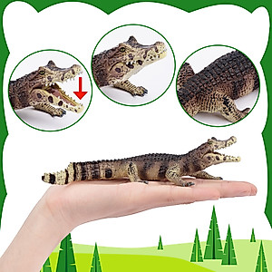 Toymany Reptile Animal Figurine Toys Set, 12 PCS Desert Amphibians Animal Figures with Komodo Dragon Lizard Snake Chameleon Rainforest Cold Blooded Animals Figures Party Favor for Kids