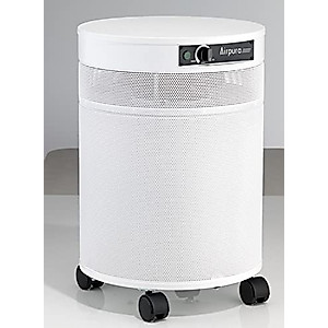 Airpura F600: Formaldehyde, VOCs and Particles