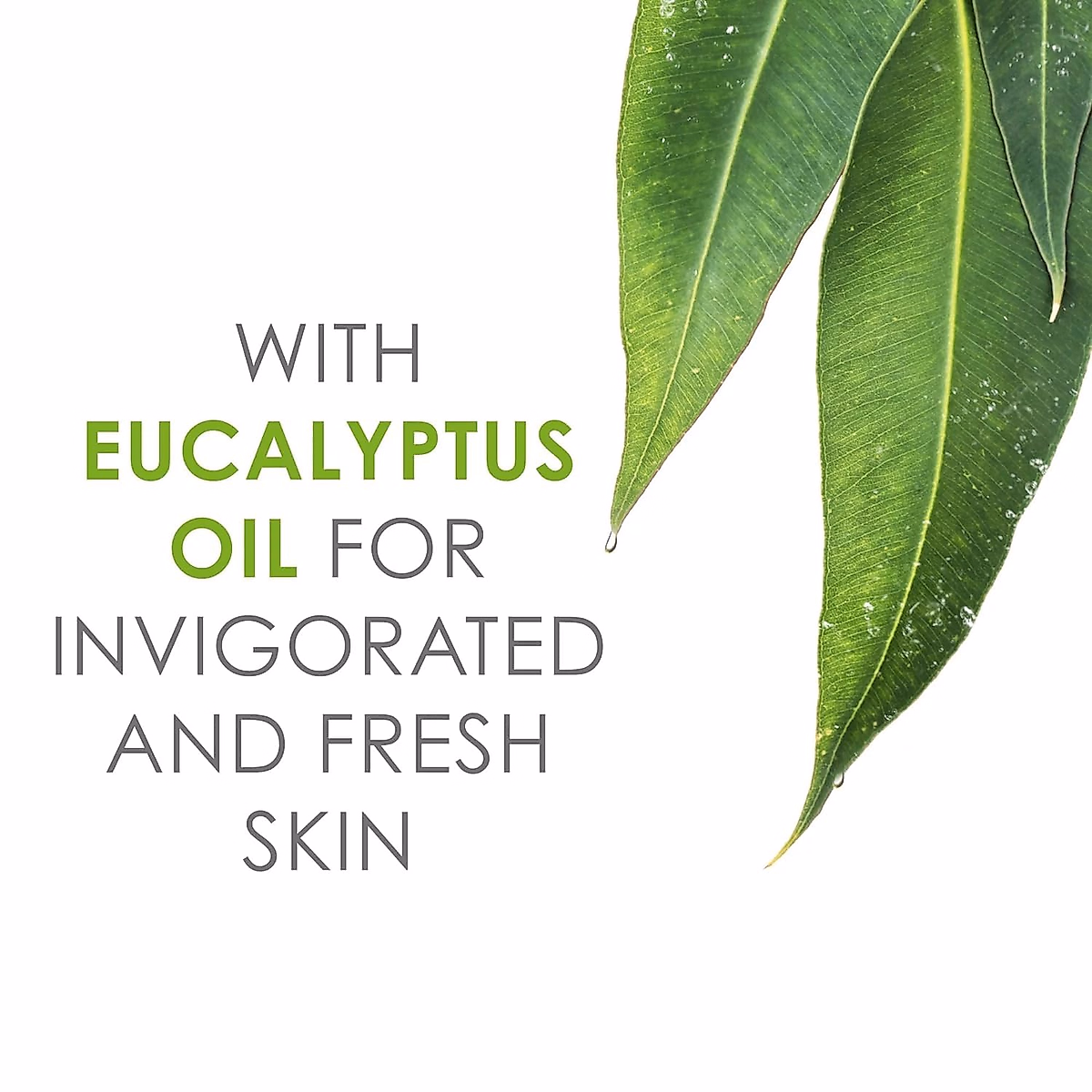 Noxzema The Original Deep Cleansing Cream 360 Ml (2 Jar In A Pack)